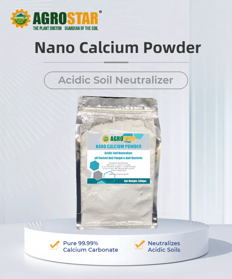 Nano Calcium Powder 500GM - AGROSTAR