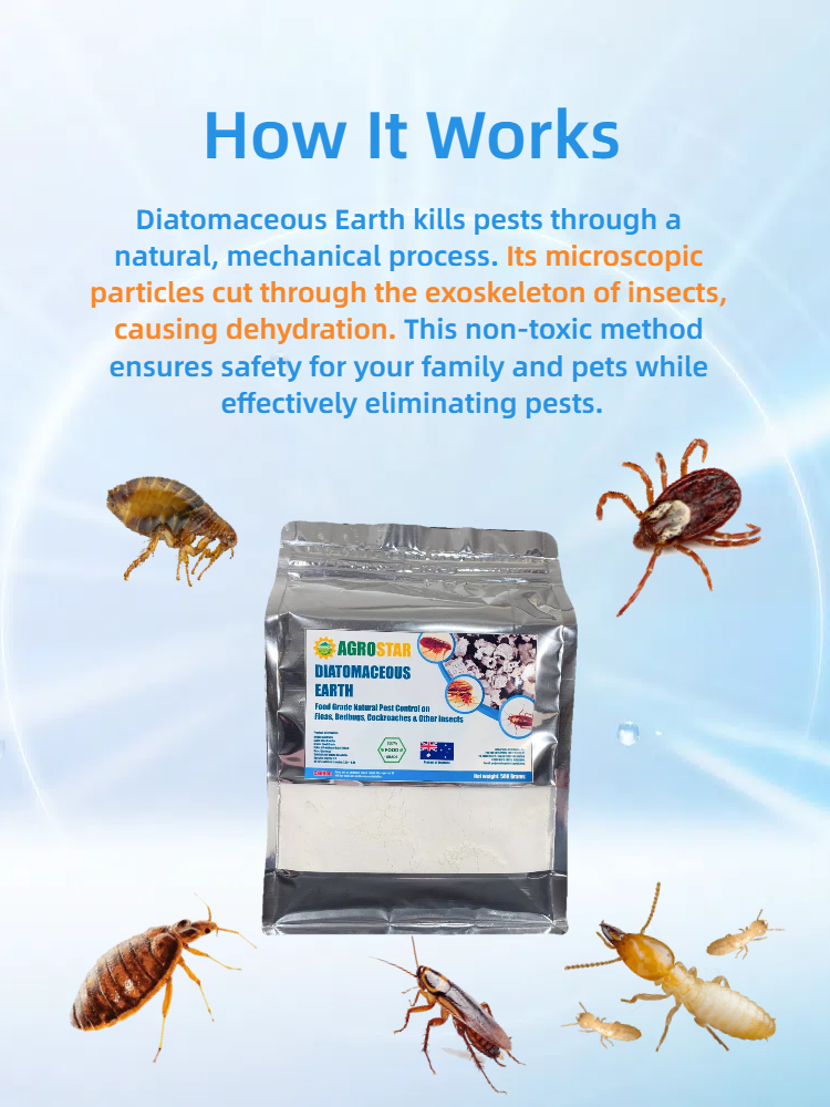 Diatomaceous Earth Powder 500GM - AGROSTAR