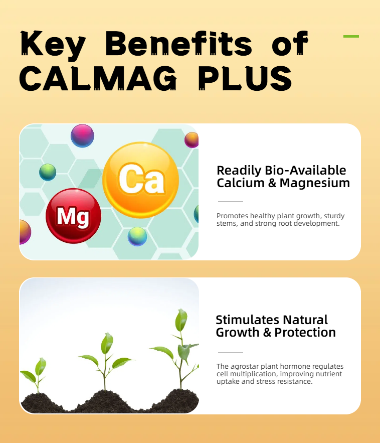 CALMAG PLUS 10L - AGROSTAR