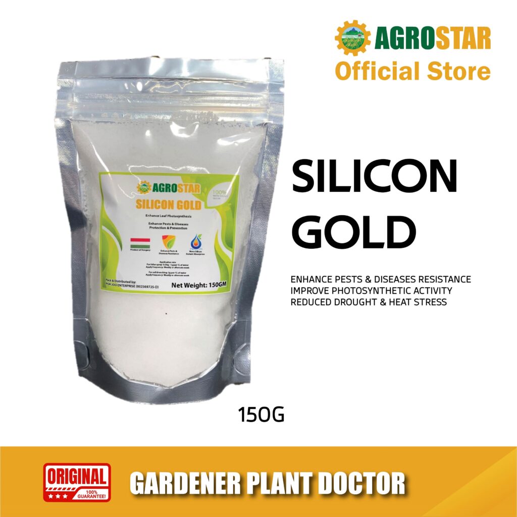Silicon Gold 100% Water Soluble Silicon Powder 150GM - AGROSTAR